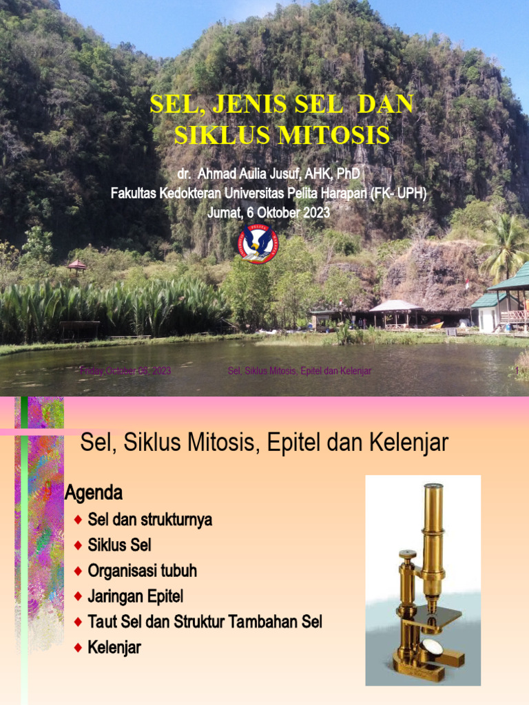 6-10-2023 SEL, TIPE SEL DAN SIKLUS MITOSIS (Bagian I) | PDF