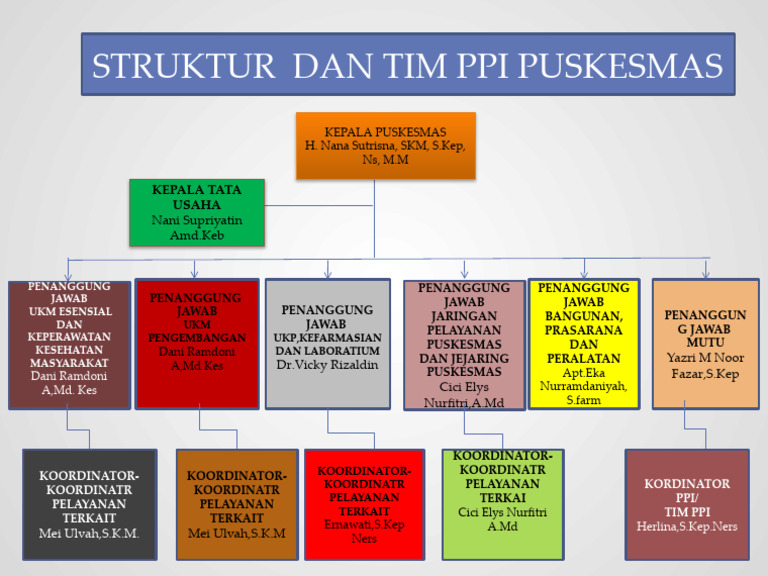 Struktur Dan Tim Ppi Puskesmas | PDF