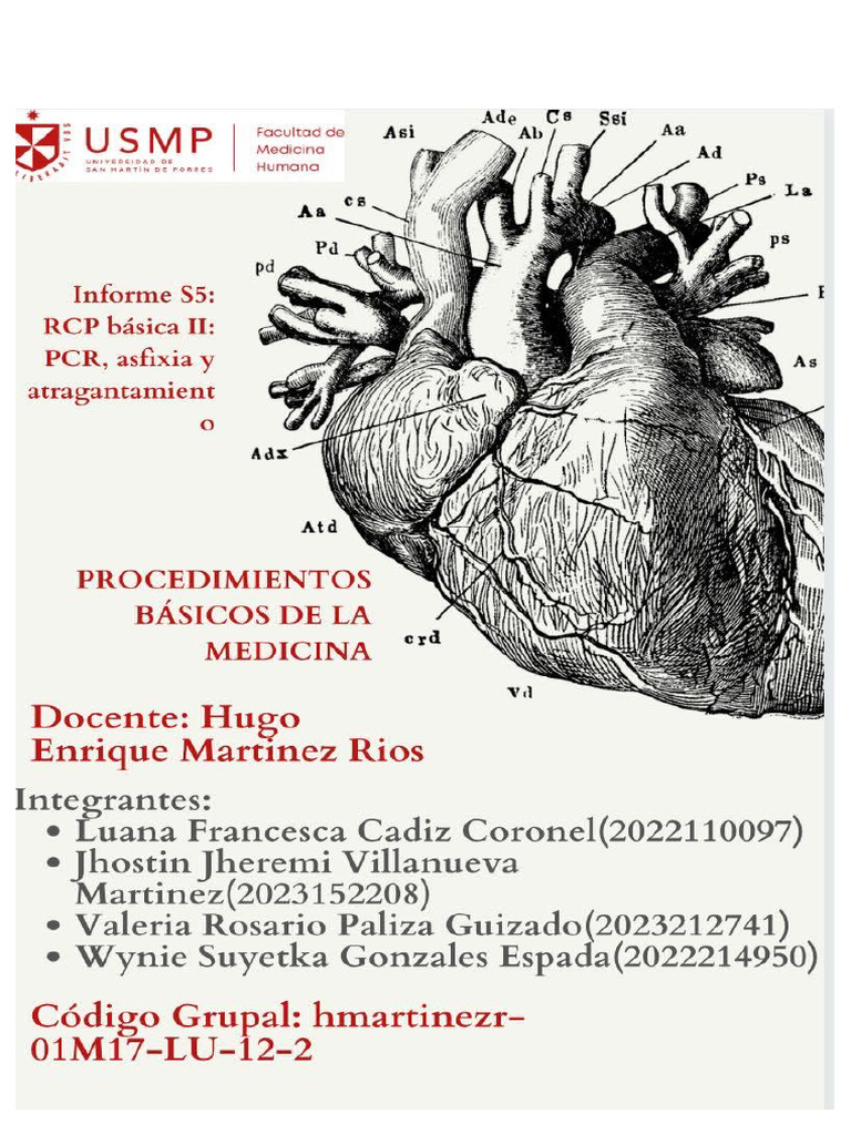 RCP y Paro Cardiorrespiratorio | PDF | Reanimación cardiopulmonar ...