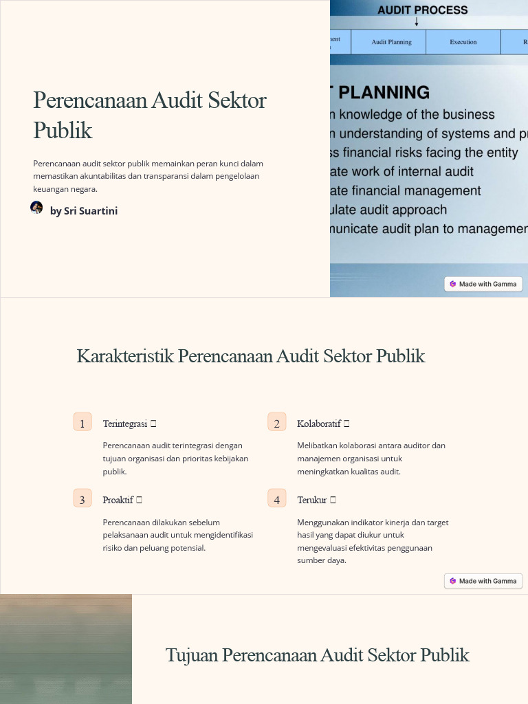 Perencanaan Audit Sektor Publik | PDF