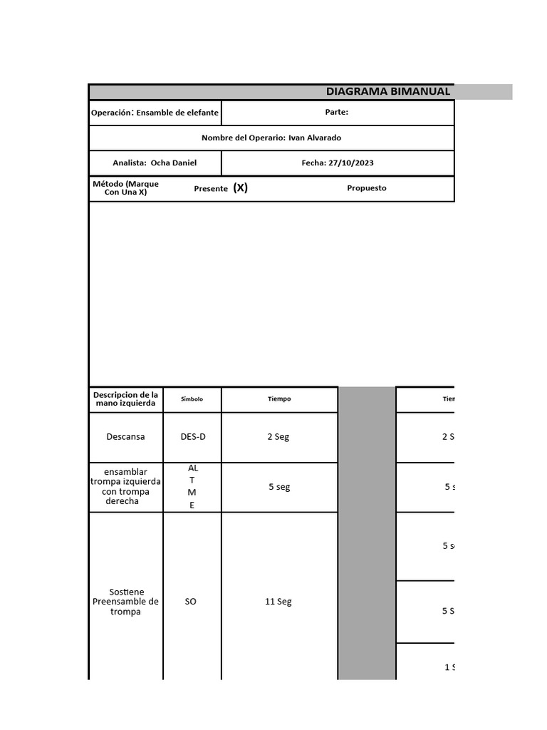 Diagrama Bimanual | PDF