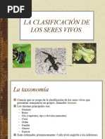 Allobates niputidea: Especie Única | PDF | Taxonomía (biología) | Género