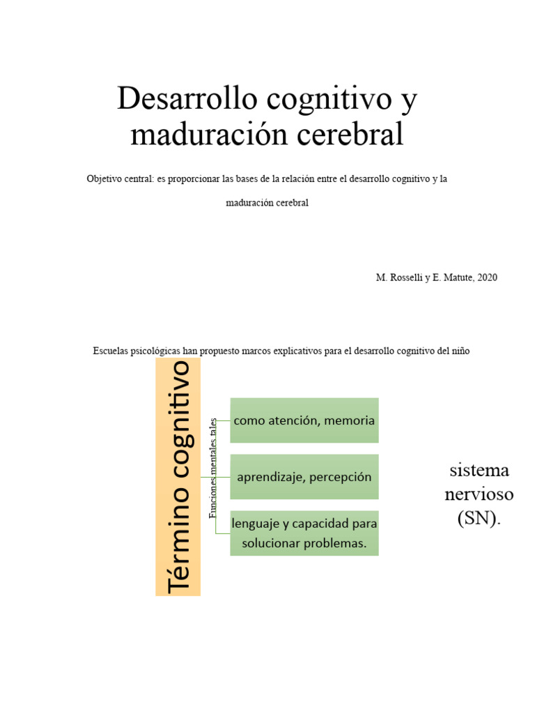 Desarrollo Cognitivo Y Maduración Cerebral Neuropsicologia Download