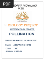 Pollination Class 12 Biology Project | PDF | Pollination | Pollinators