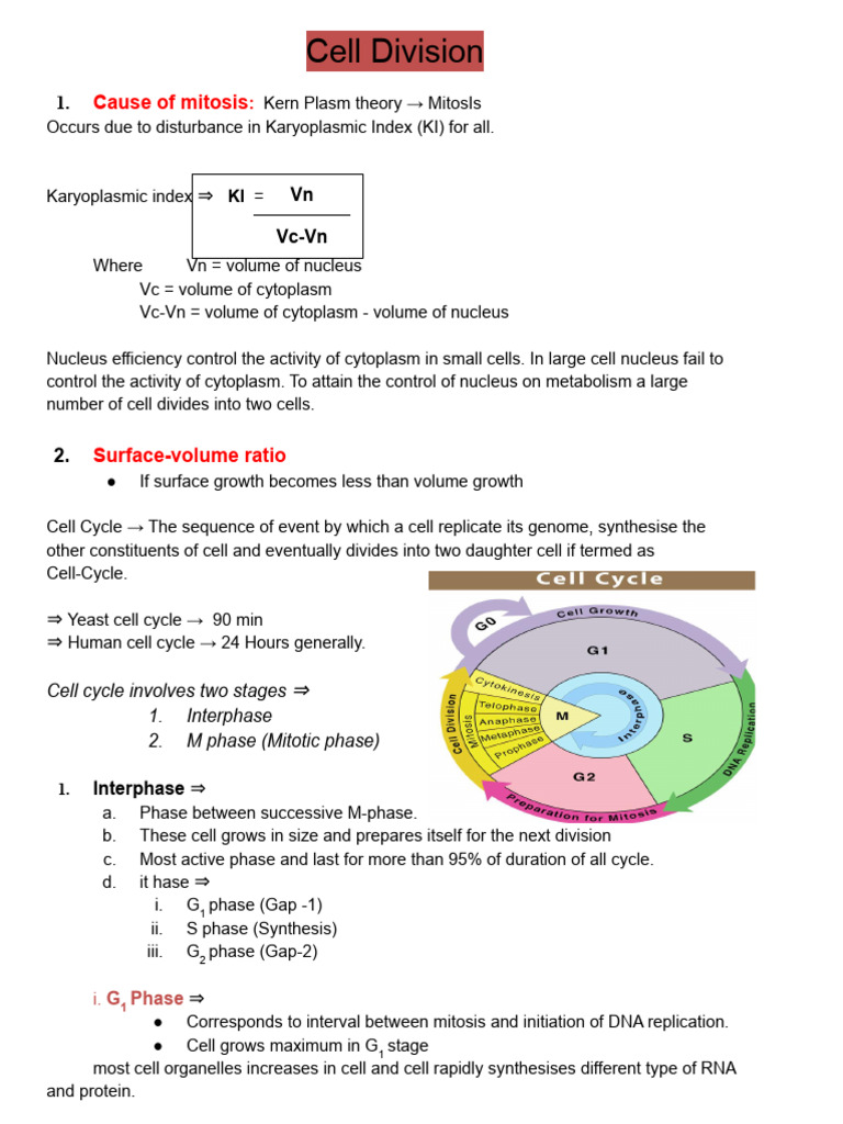 Cell Division Print | PDF | Meiosis | Mitosis