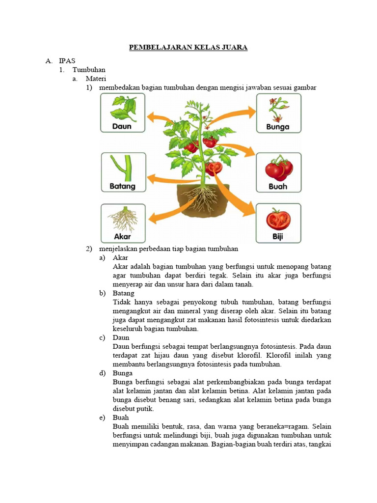 Materi 2 Kelas Juara | PDF | Griya & Taman | Kesehatan Holistik