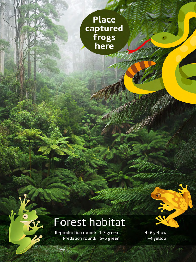 Collect Frogs | PDF