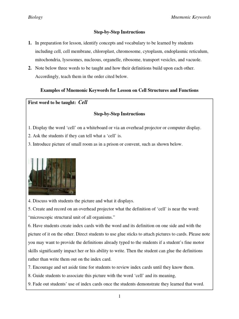 Mnemonic Keyword Step by Step Directions | PDF | Cell (Biology) | Cytoplasm