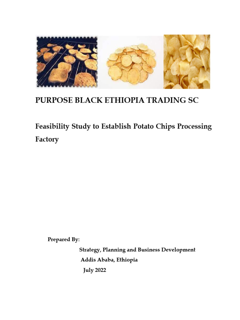 Potato Chips Factory Feasibility Study | PDF | Internal Rate Of Return ...