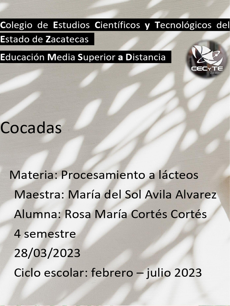 COCADAS | PDF | Leche | Comida y bebida