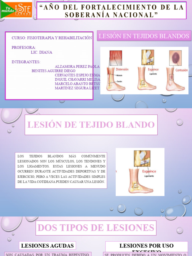 Lesiones de Tejidos Blandos | PDF | Tendón | Lesión