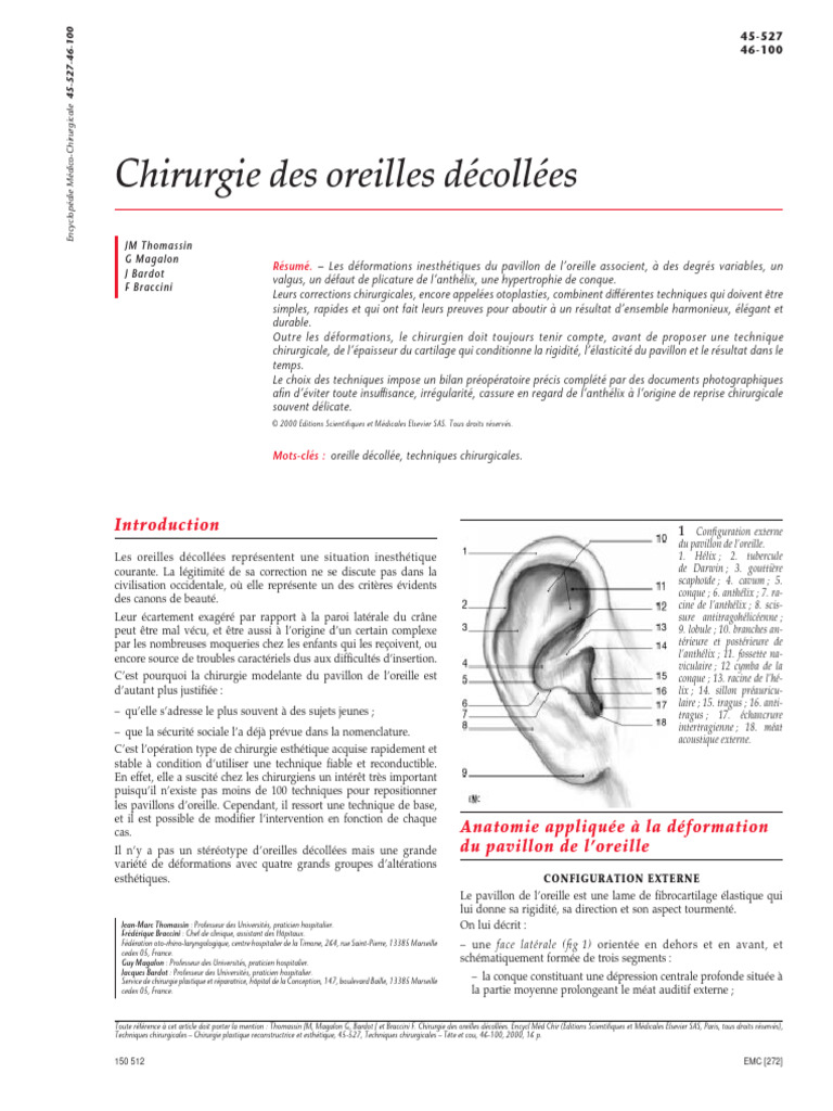Oreilles de Colle Es | PDF | Anatomie humaine | Tête et cou chez l'humain