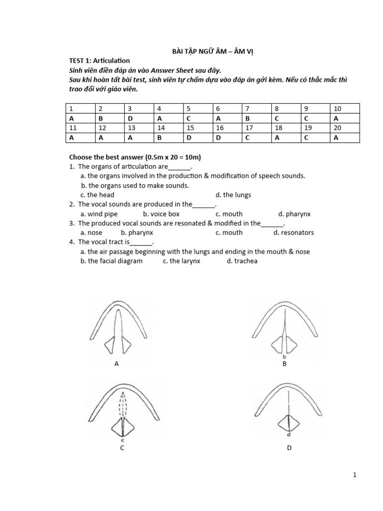 Phono TEST 1 | PDF | Larynx | Human Anatomy