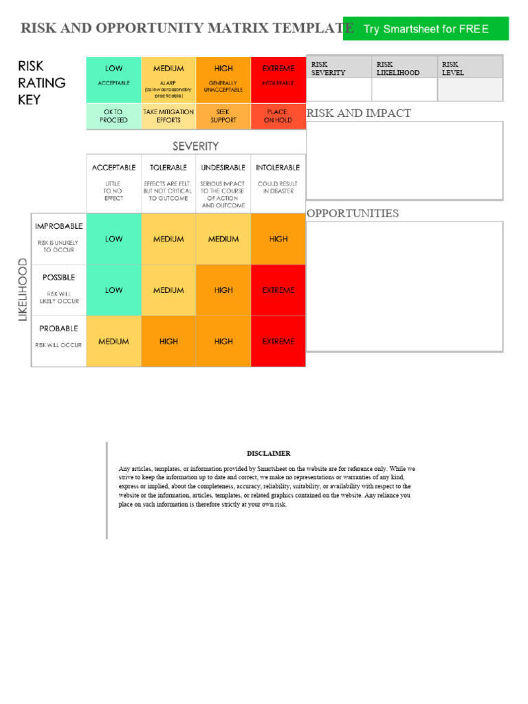 IC Risk and Opportunity Matrix | PDF