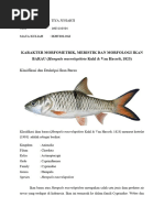 Klasifikasi dan Morfologi Ikan | PDF