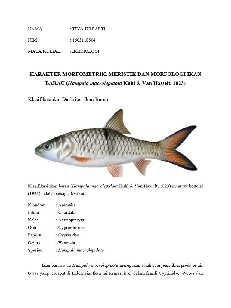 Karakteristik Ikan Barau di Indonesia | PDF