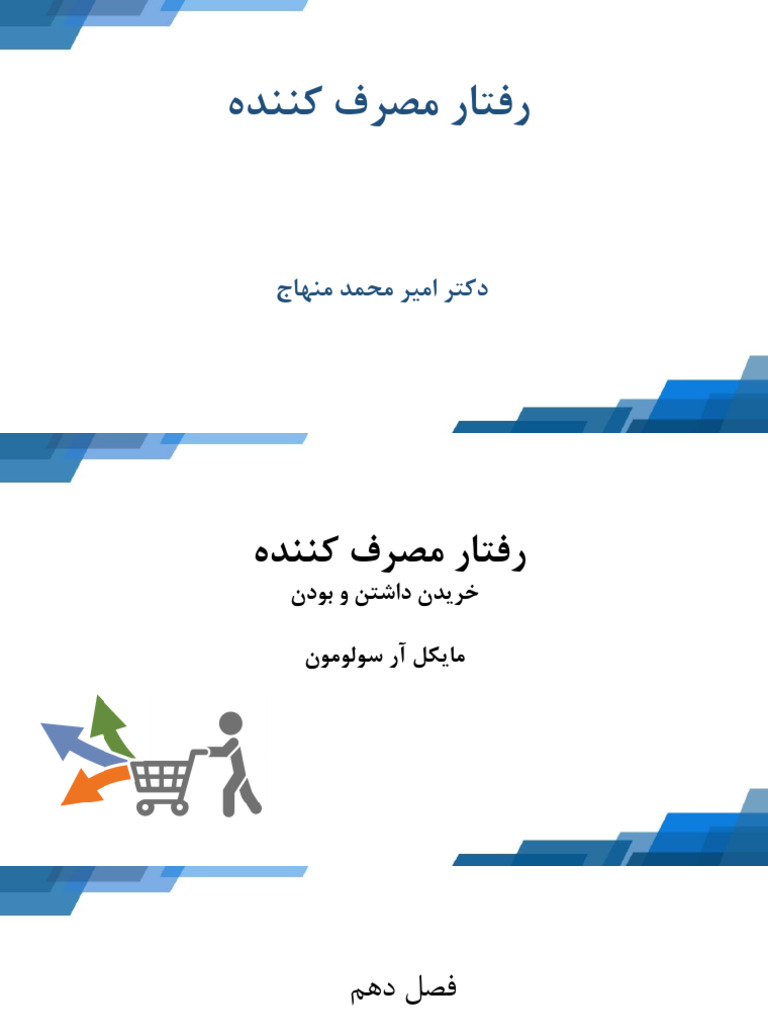 CONSUMER BEHAIVIOR Chapter 10 | PDF