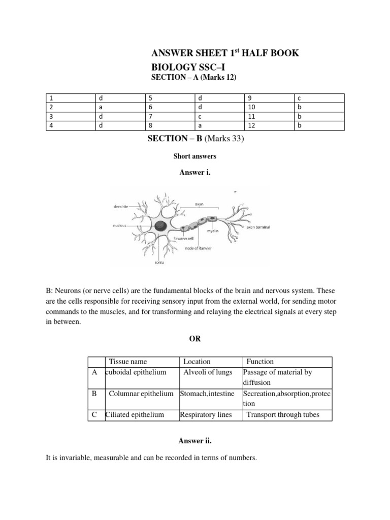 Bio key | PDF | Meiosis | Mitosis