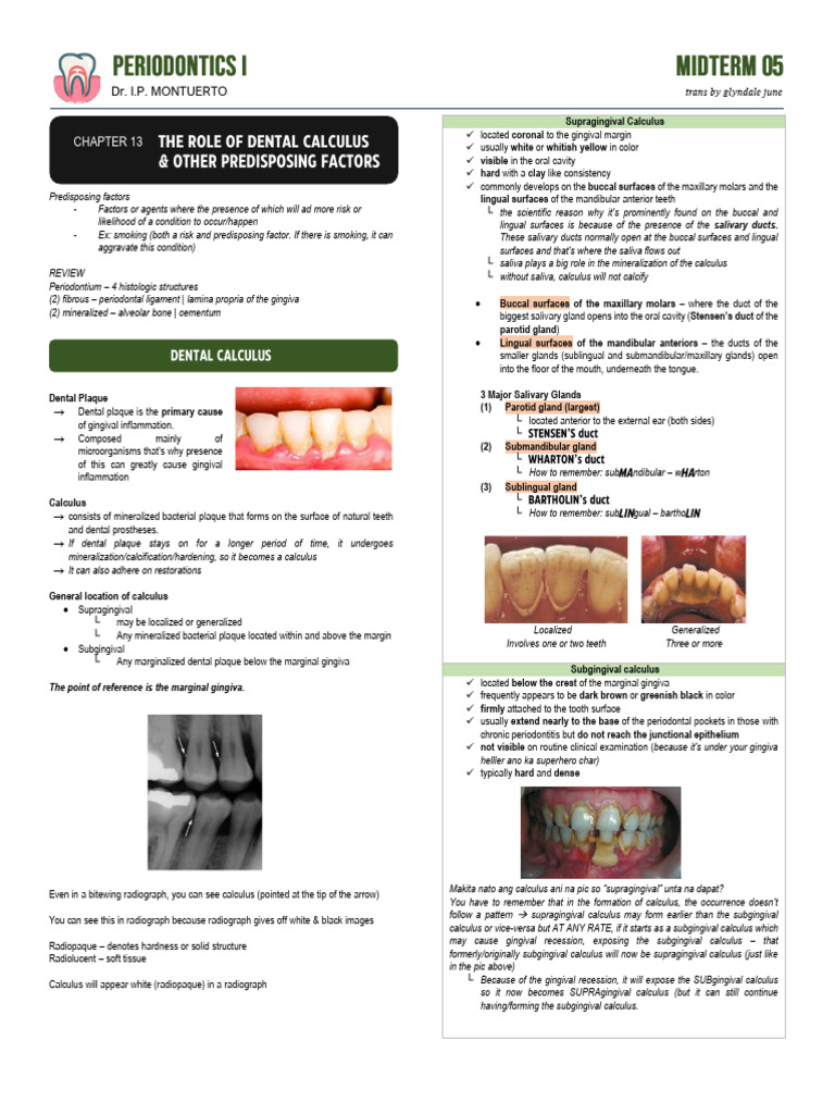 Perio - The Role of Dental Calculus & Other Predisposing Factors | PDF ...