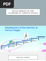 PIES Development Across Life Stages | PDF | Attachment Theory | Menopause