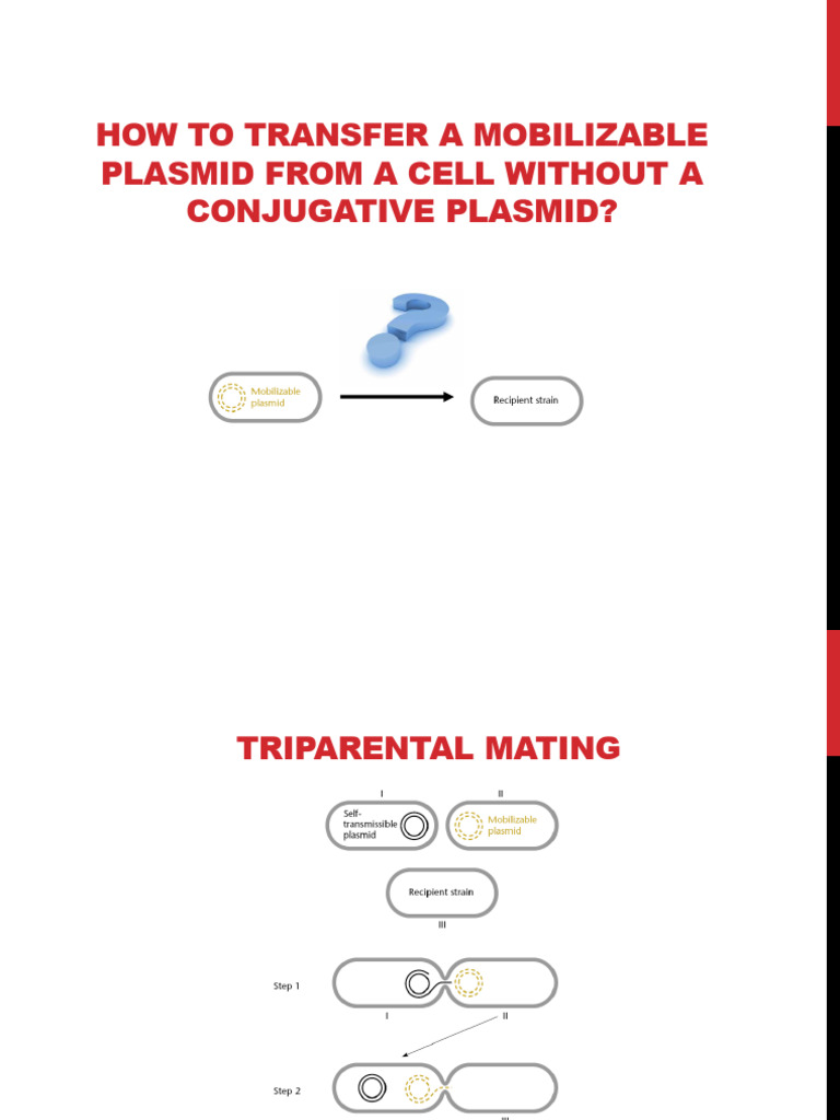 How To Transfer A Mobilizable Plasmid From A Cell Without A Conjugative Plasmid? | PDF | Plasmid ...