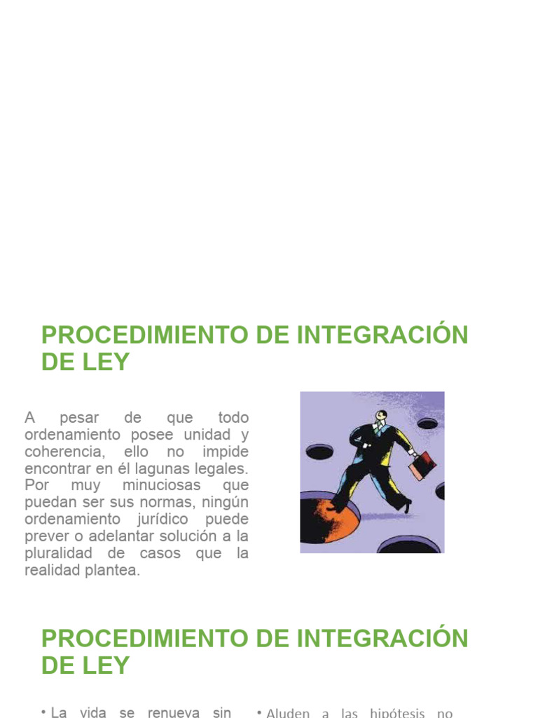 Procedimiento de Integración de Ley | PDF | Legislación | Principios éticos