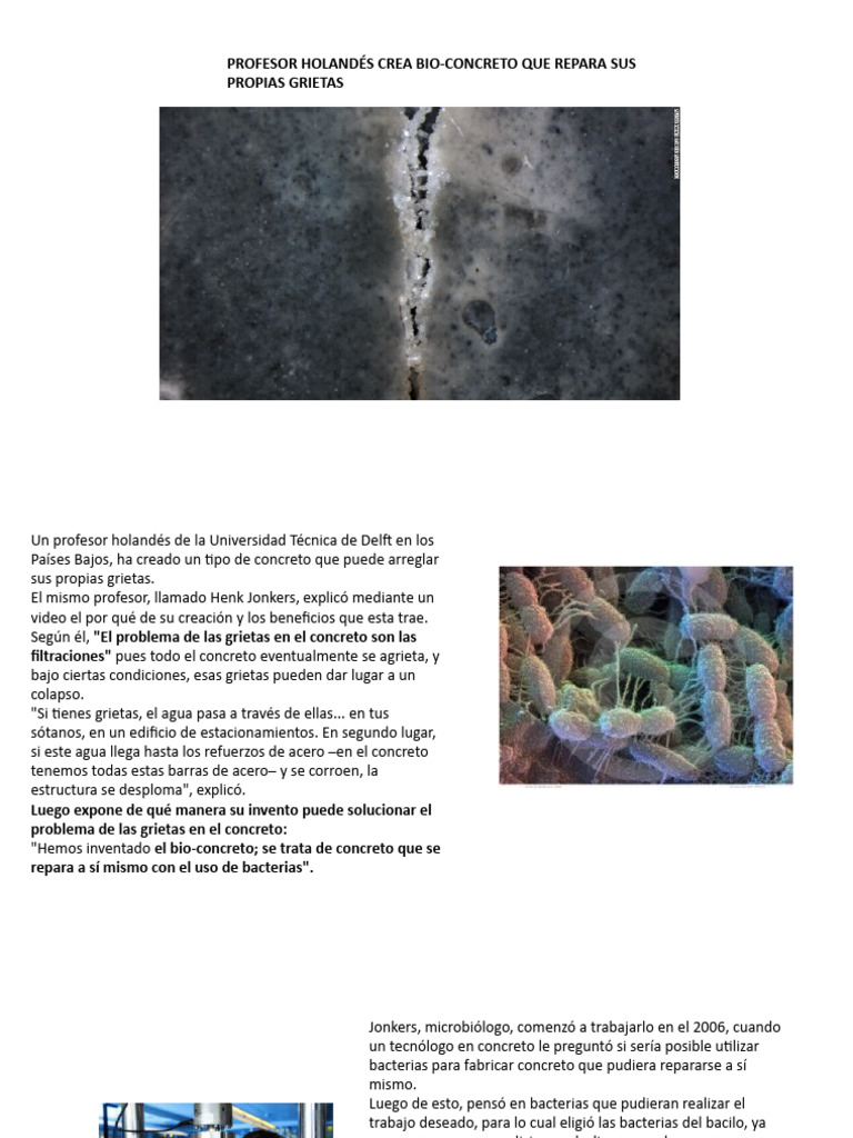 Bio-concreto autorreparable con bacterias | PDF | Hormigón | Caliza