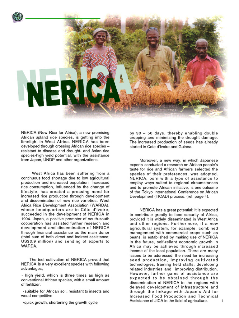 About Nerica Rice | PDF | Agriculture | Rice
