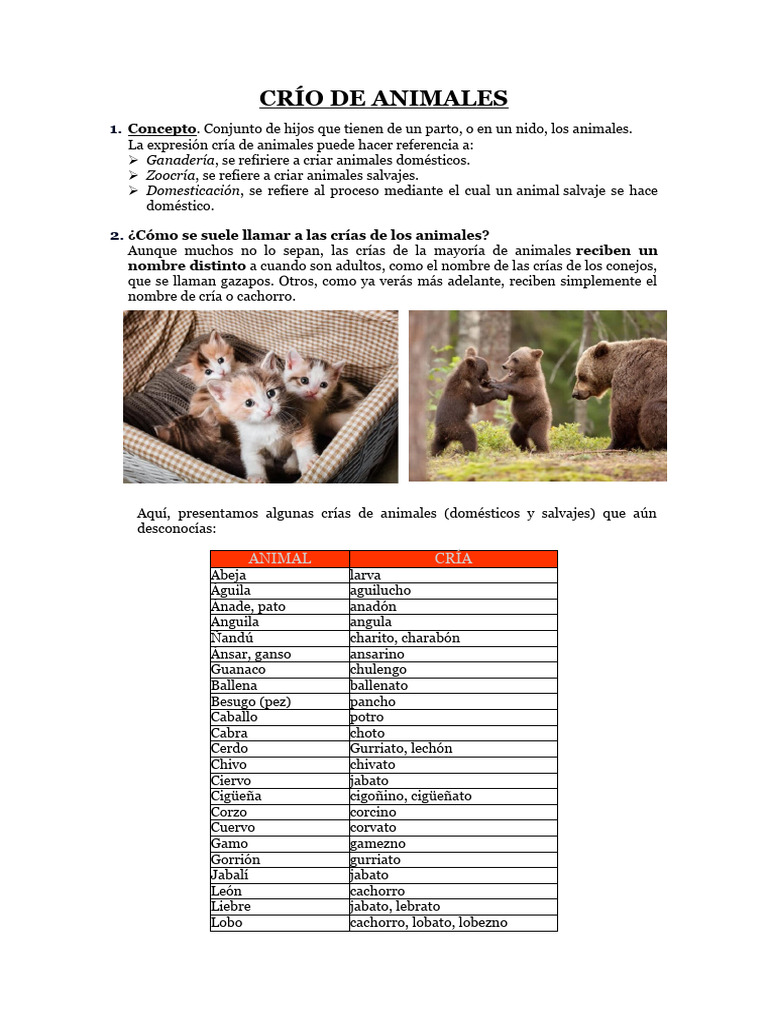 Nombres de crías de animales | PDF | Organismos | Ganado
