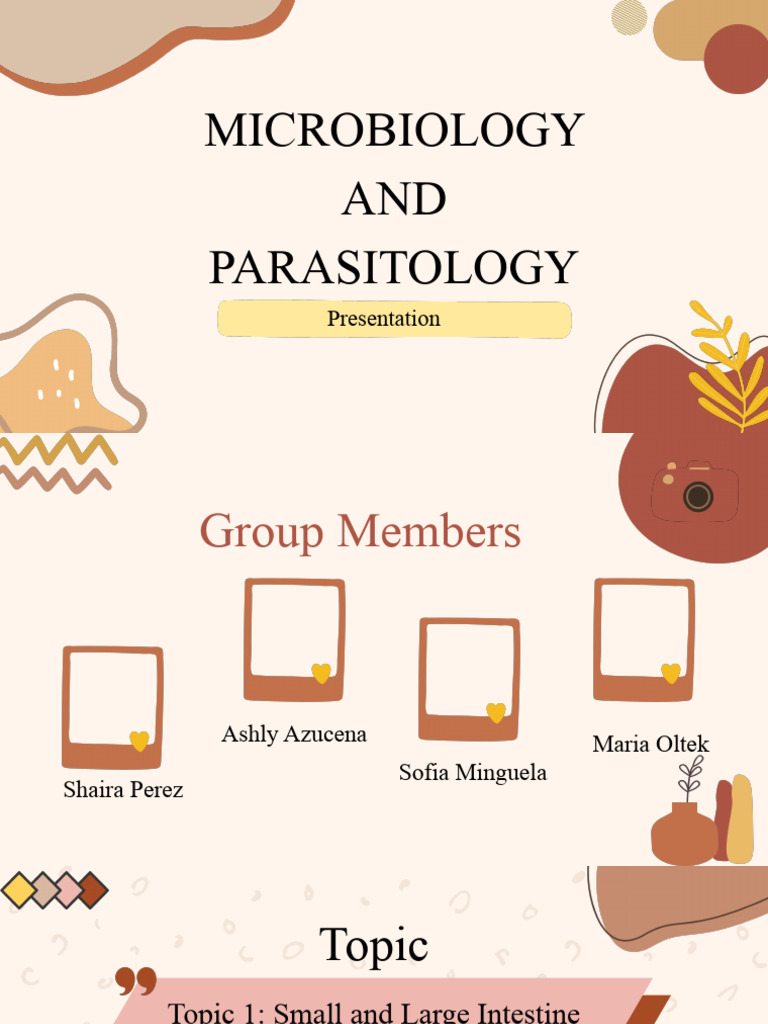 MICROPARA | PDF | Diarrhea | Escherichia Coli