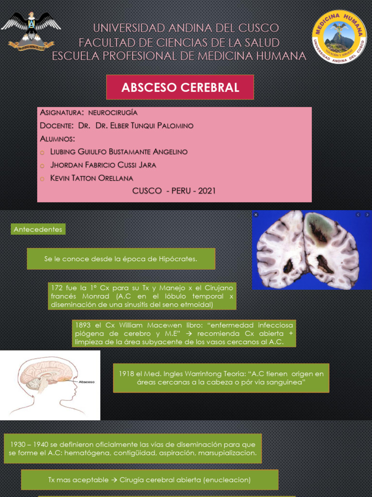Manejo y Diagnóstico del Absceso Cerebral | PDF | Lesión cerebral ...
