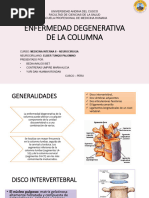 Musculos de La Nuca | PDF | Anatomía humana | Sistema musculoesquelético