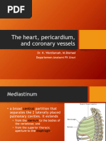 Anatomy Heart Cadaver | PDF | Heart Valve | Coronary Circulation