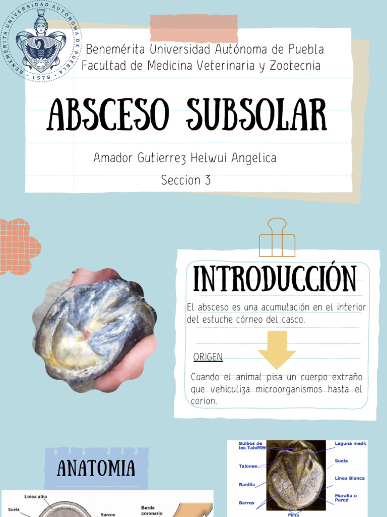 Absceso Subsolar | PDF | Especialidades Medicas | Medicina CLINICA