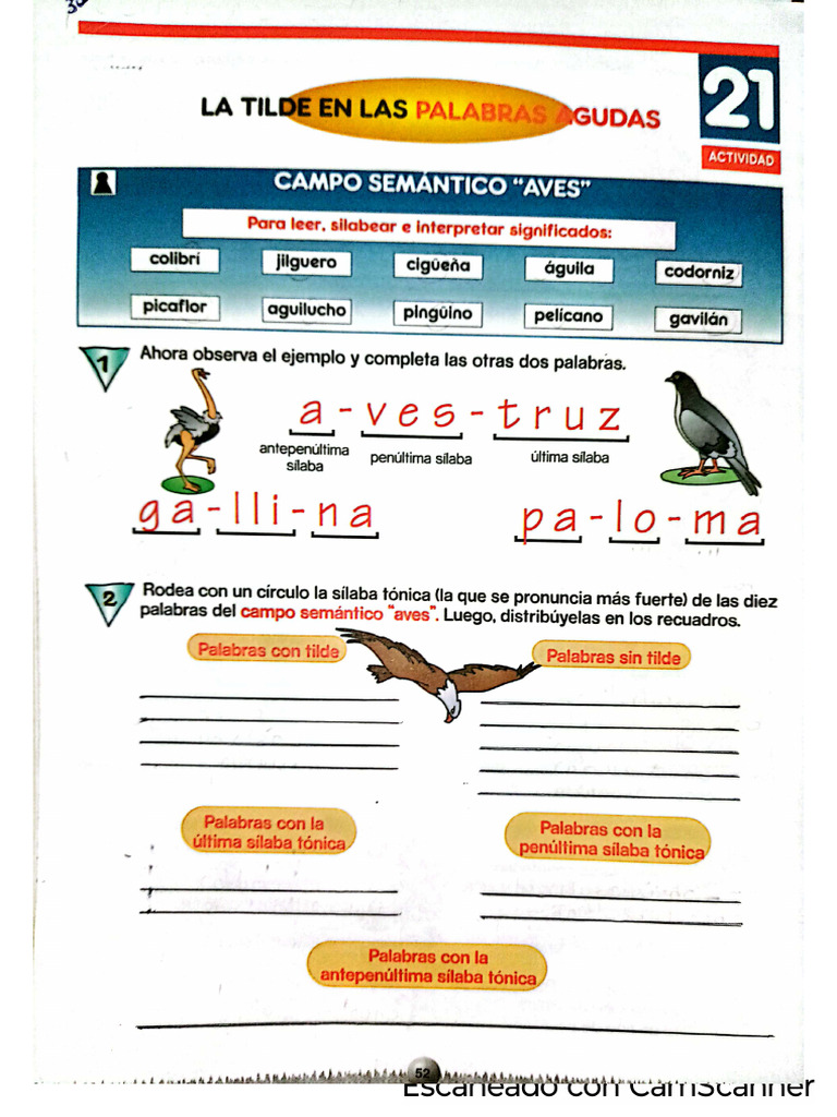 Acentuación, Palabras Agudas, Graves y Esdrújulas | PDF