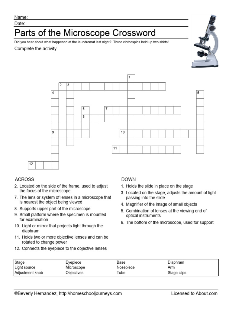 Microscope Crossword | PDF | Science & Mathematics