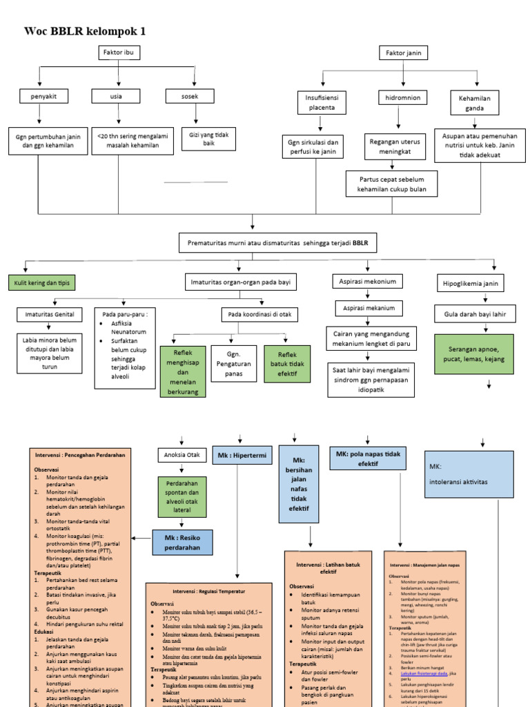 Woc BBLR Kelompok 1 | PDF
