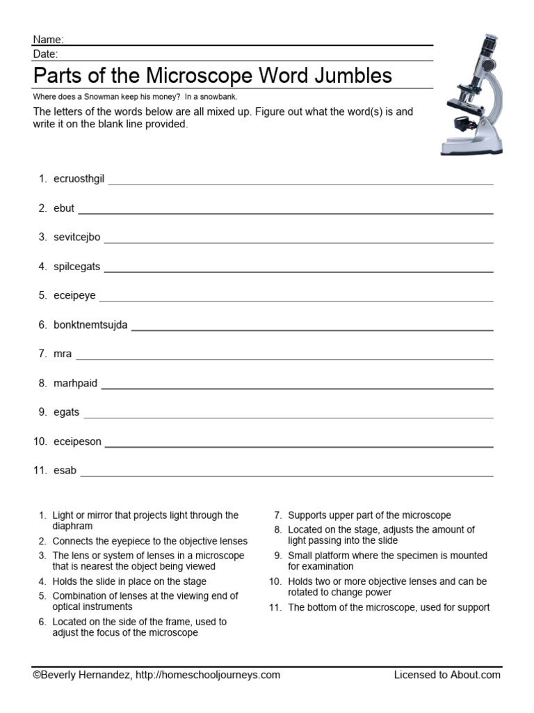 Microscope Word Jumbles | PDF