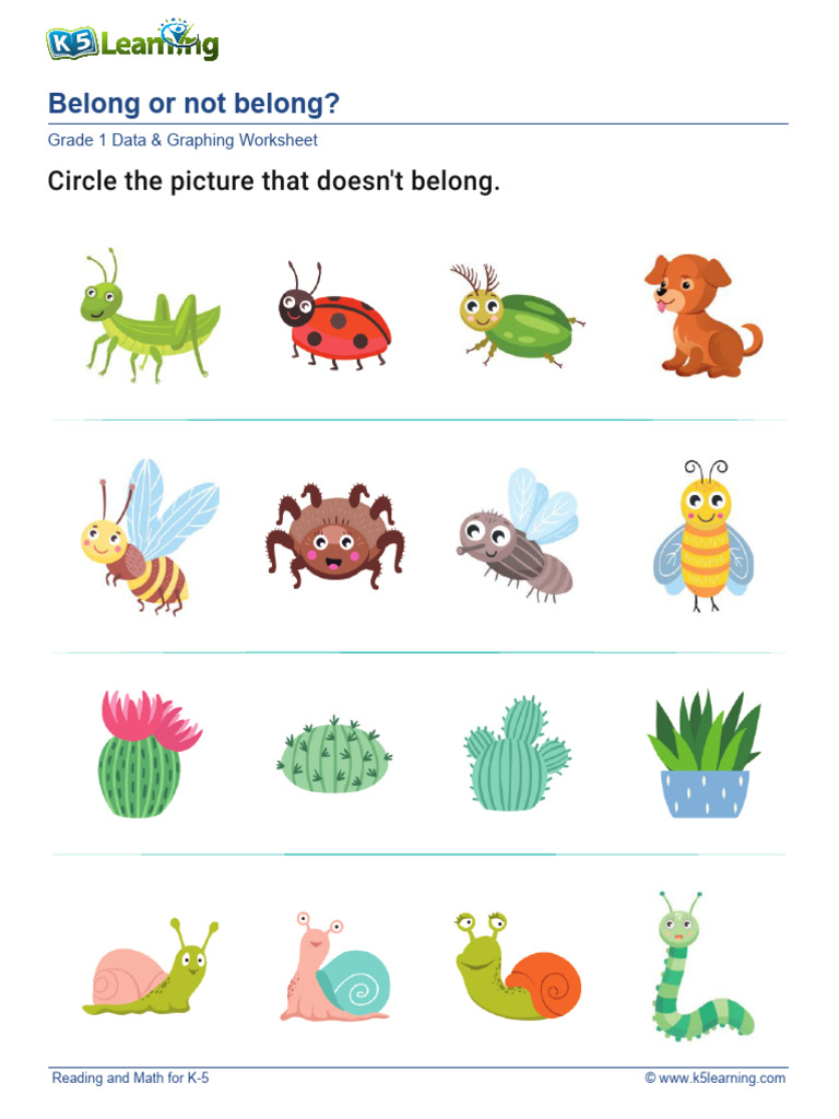 Grade 1 Belong Not Belong A | PDF