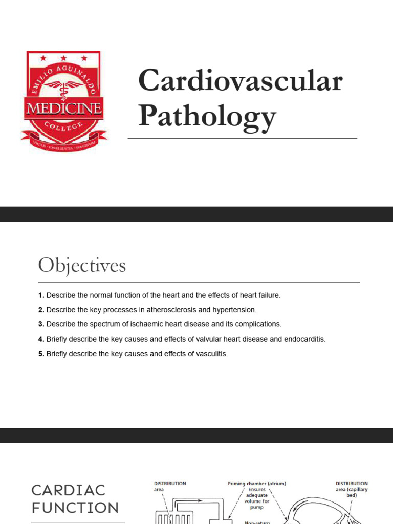 Cardiovascular Pathology | PDF | Atherosclerosis | Coronary Artery Disease