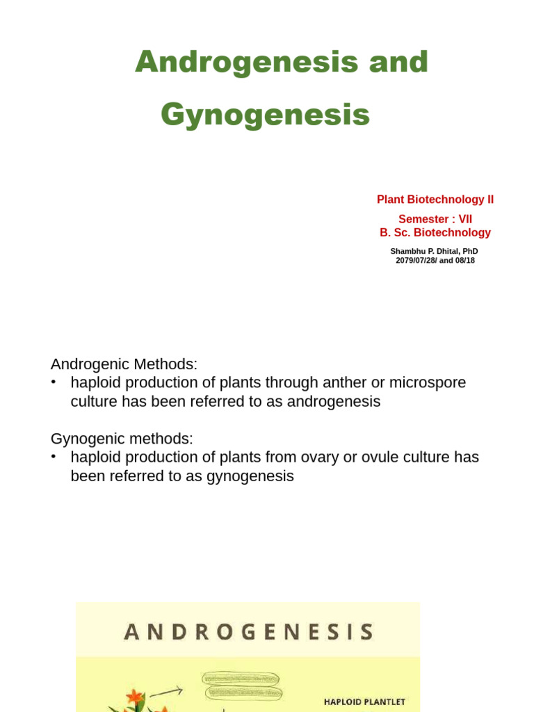 8 Andro Gynogenesis VII | PDF | Ploidy | Plant Breeding