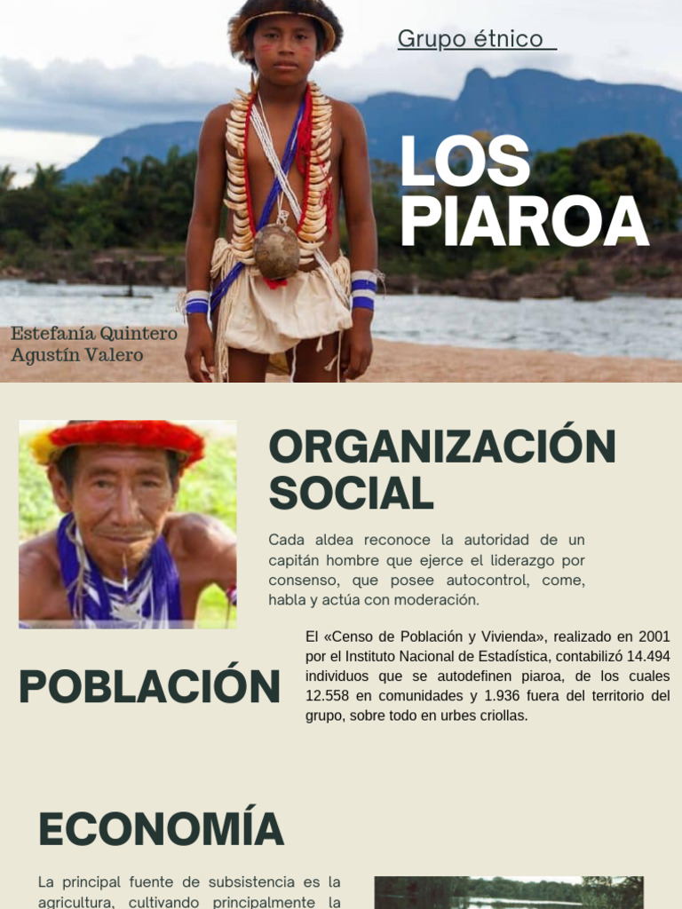 Cultura y organización de los Piaroa | PDF | Ciencias sociales | Historia