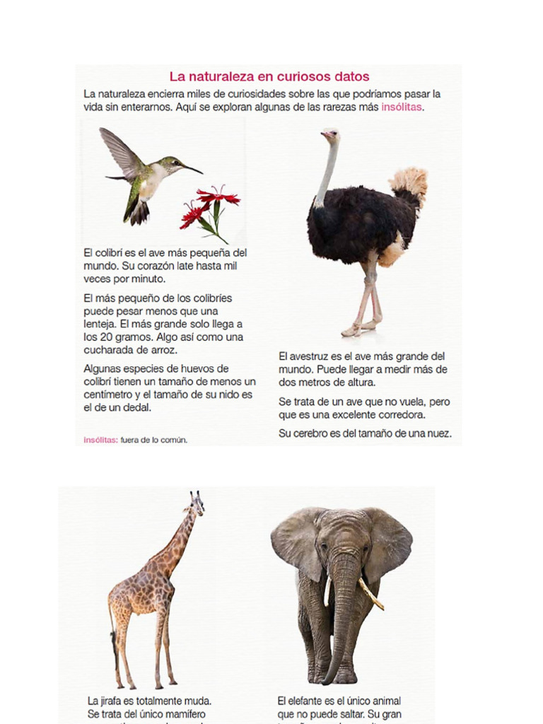 Articulo Informativo | PDF