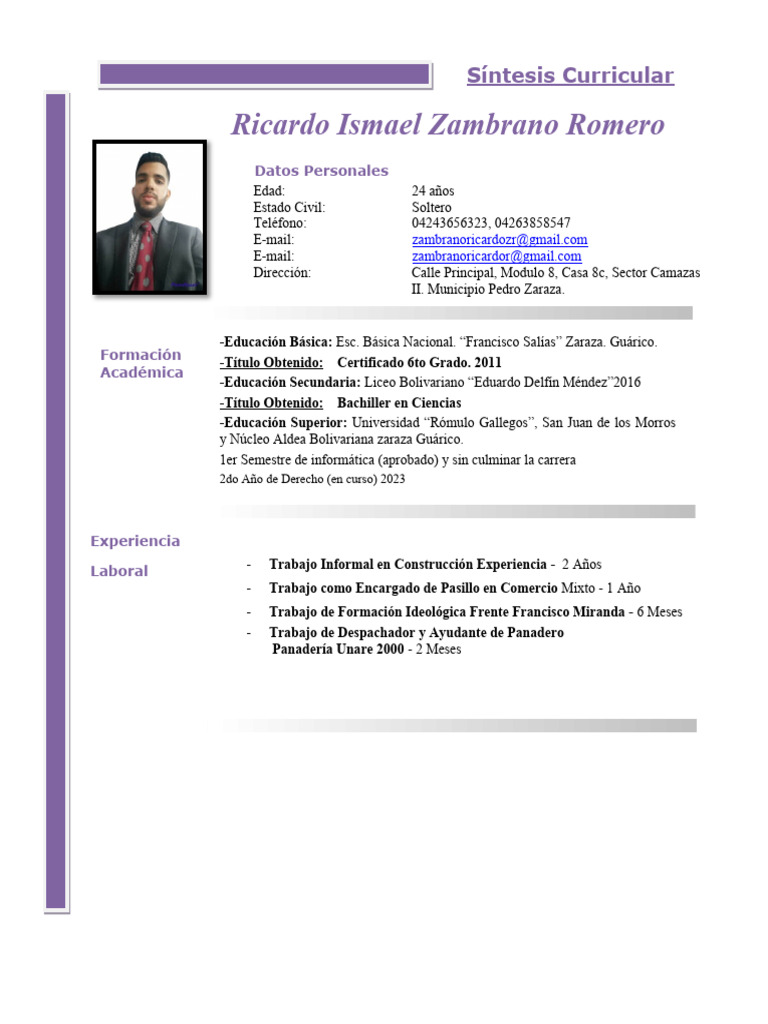 Curriculum de Ricardo Zambrano | PDF