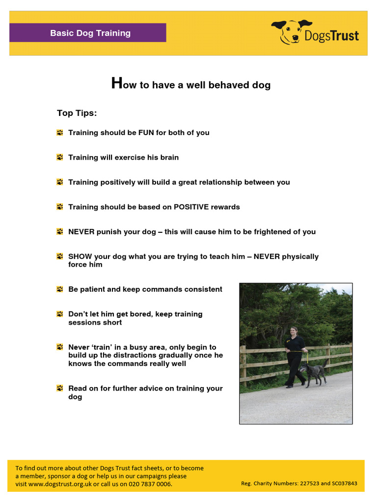 Basic Dog Training Fact Sheet | PDF | Dog Training | Dogs
