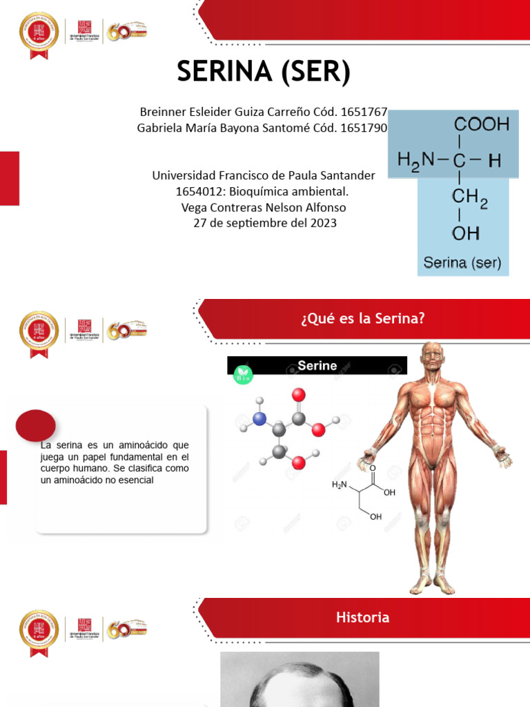 Funciones y Estructura de la Serina | PDF | Serina | Bioquímica