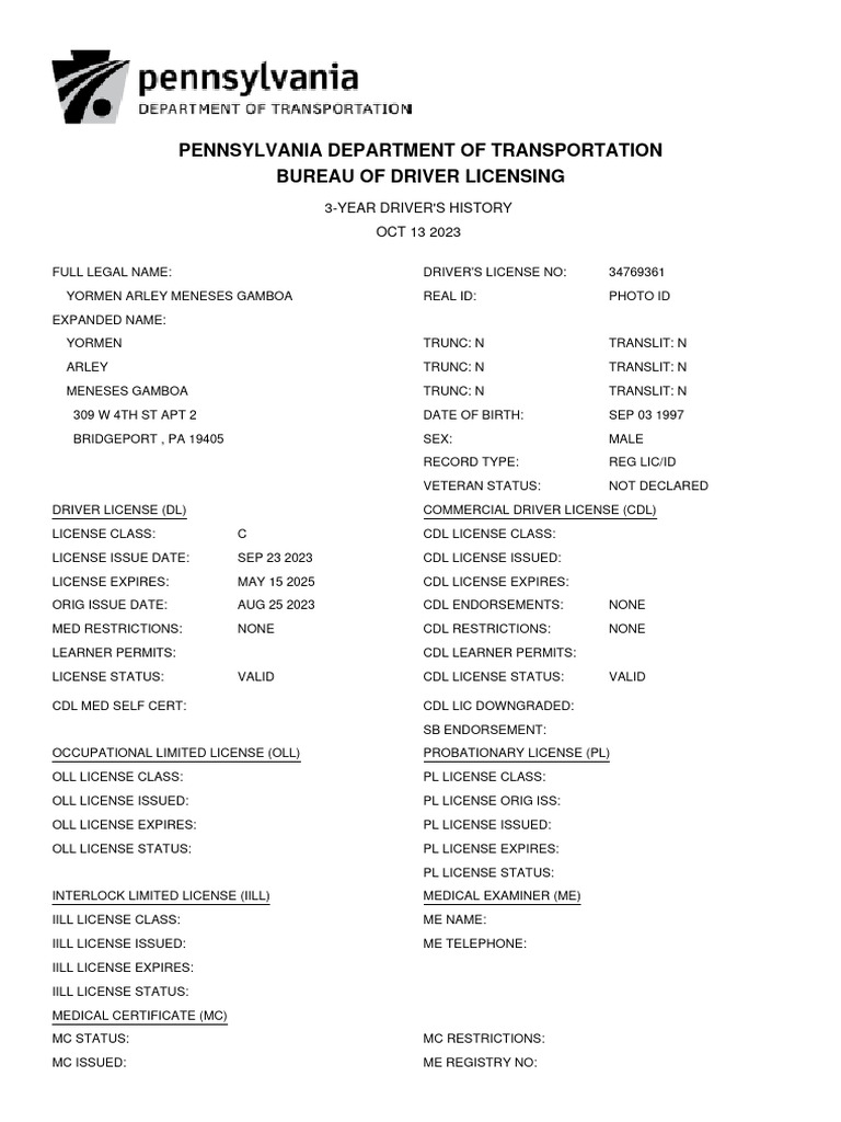 Individual Driver Record | PDF | Driver's License | Civil Law (Legal ...