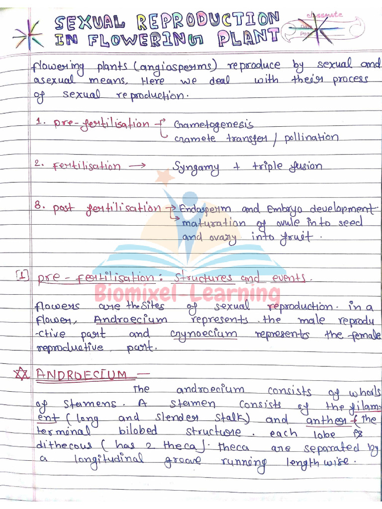 Bio ch-2 - Watermark | PDF