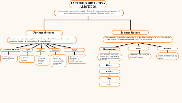 Mapa Conceptual de Los Factores Bioticos y Abioticos | PDF | Plantas | Entorno natural