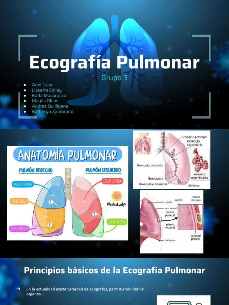 Ecografía Pulmonar: Guía Básica | PDF | Pulmón | Ultrasonido médico
